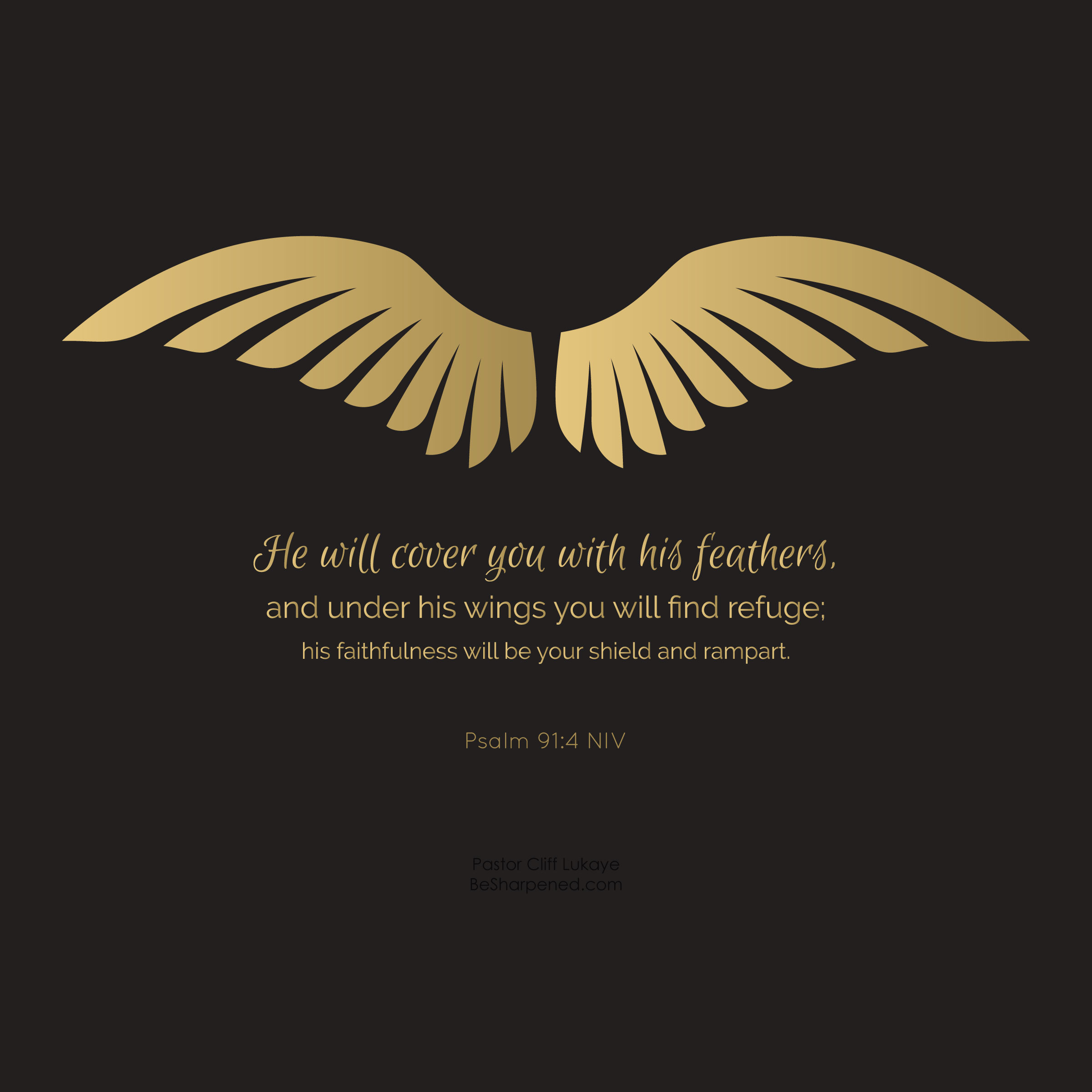 Psalm 91 4 Daily Devotional September 29 2022 Daily Devotional Psalm 91 4 Daily Devotional September 29 2022 Daily Devotional