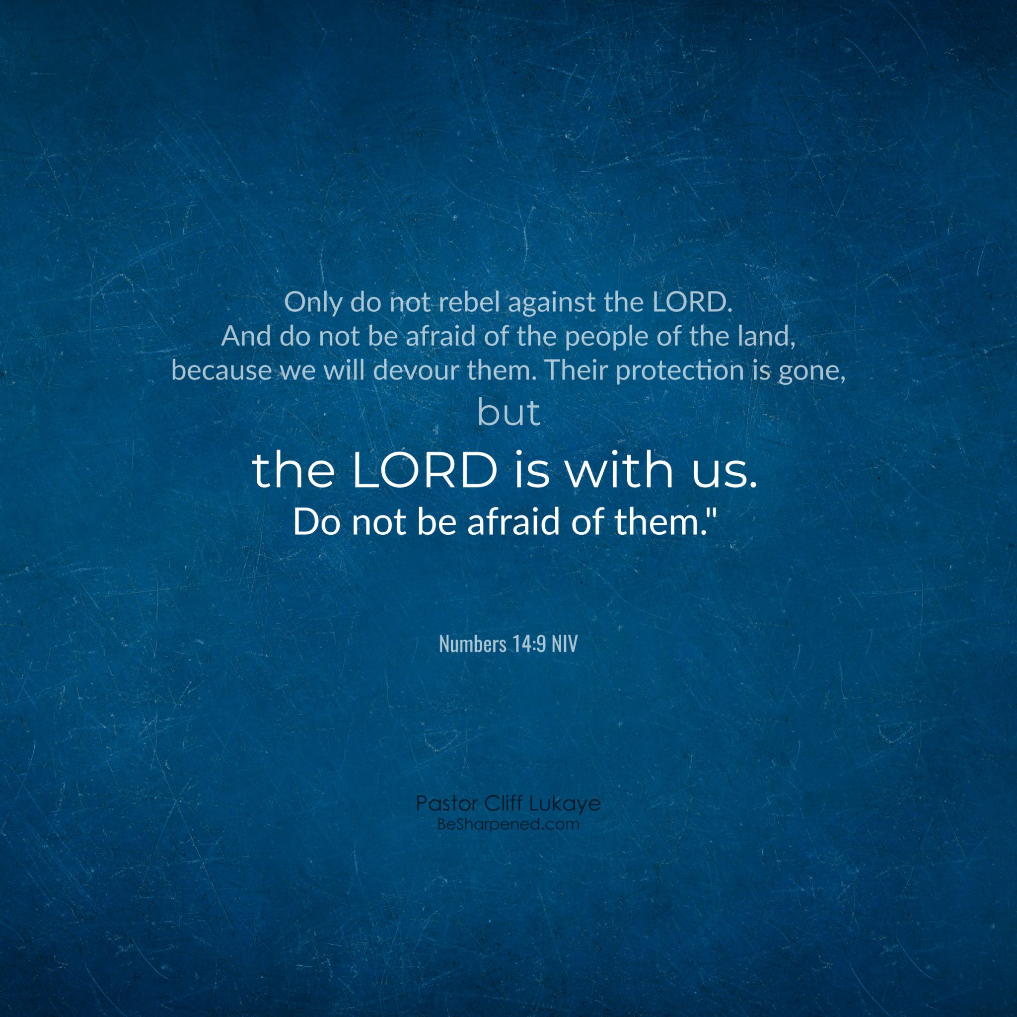 Numbers 14 9 Daily Devotional November 27 2022 Daily Devotional