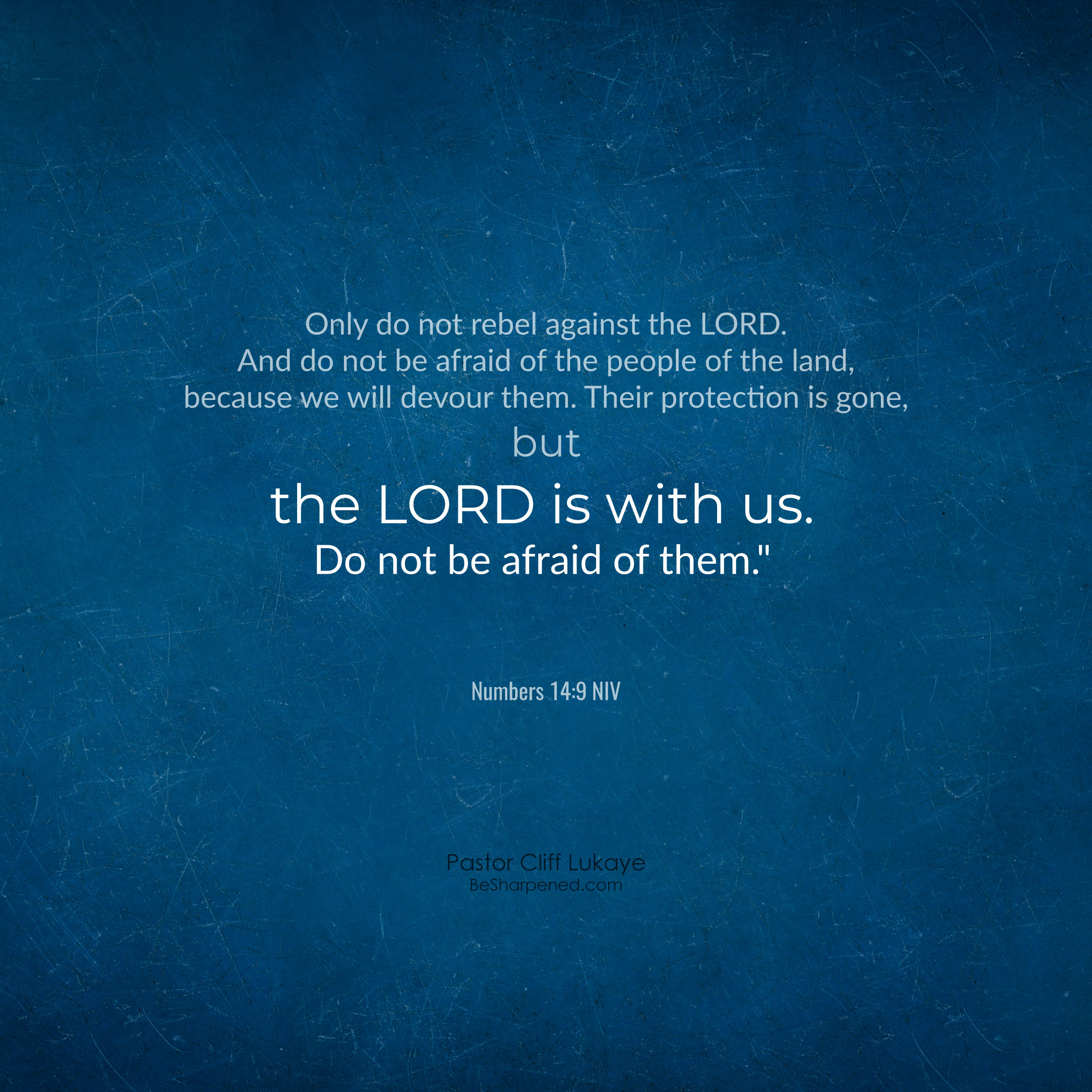 Numbers 14 9 Daily Devotional November 27 2022 Daily Devotional